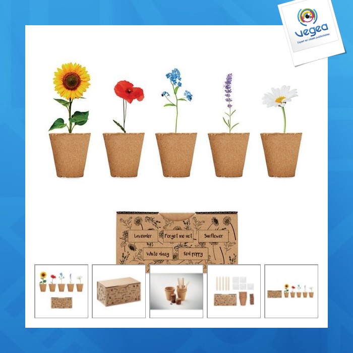 Flower growing kit | Goodies | 00010V0161738